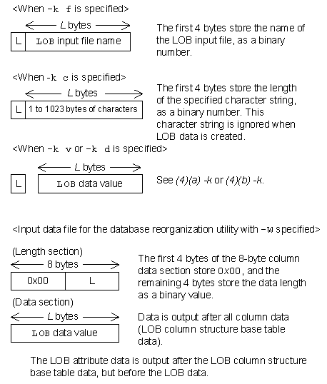 Binary format